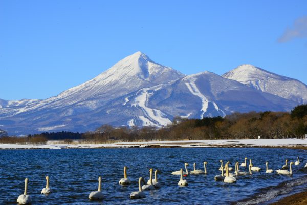 Fukushima